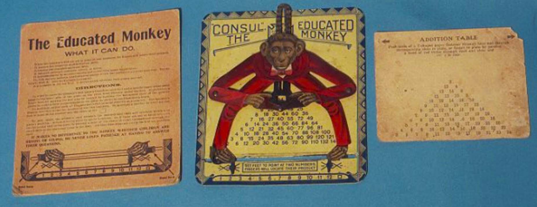 The Educated Monkey - czyslansky